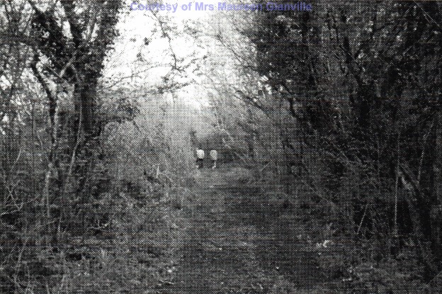 Shepherds Station – Treamble Mineral Line – Gravel Hill Tramway ...
