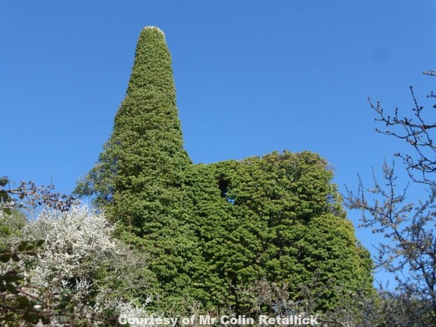 Mining in our Area – Goonhavern Cornwall